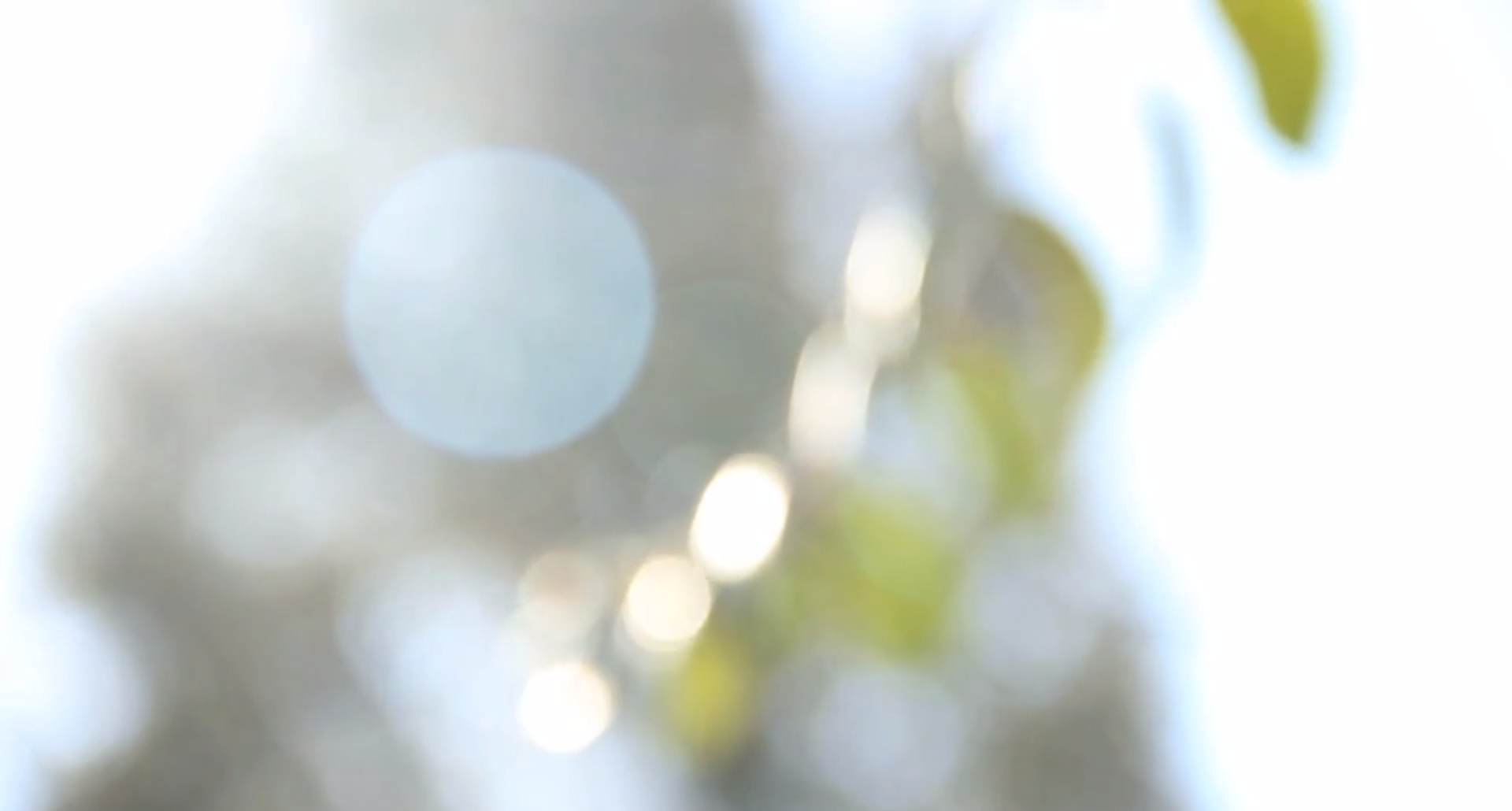 sk-background - SKwood